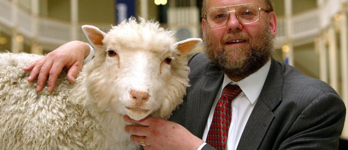 Pioneering cloned sheep now on display at Scottish museum – Destination ...